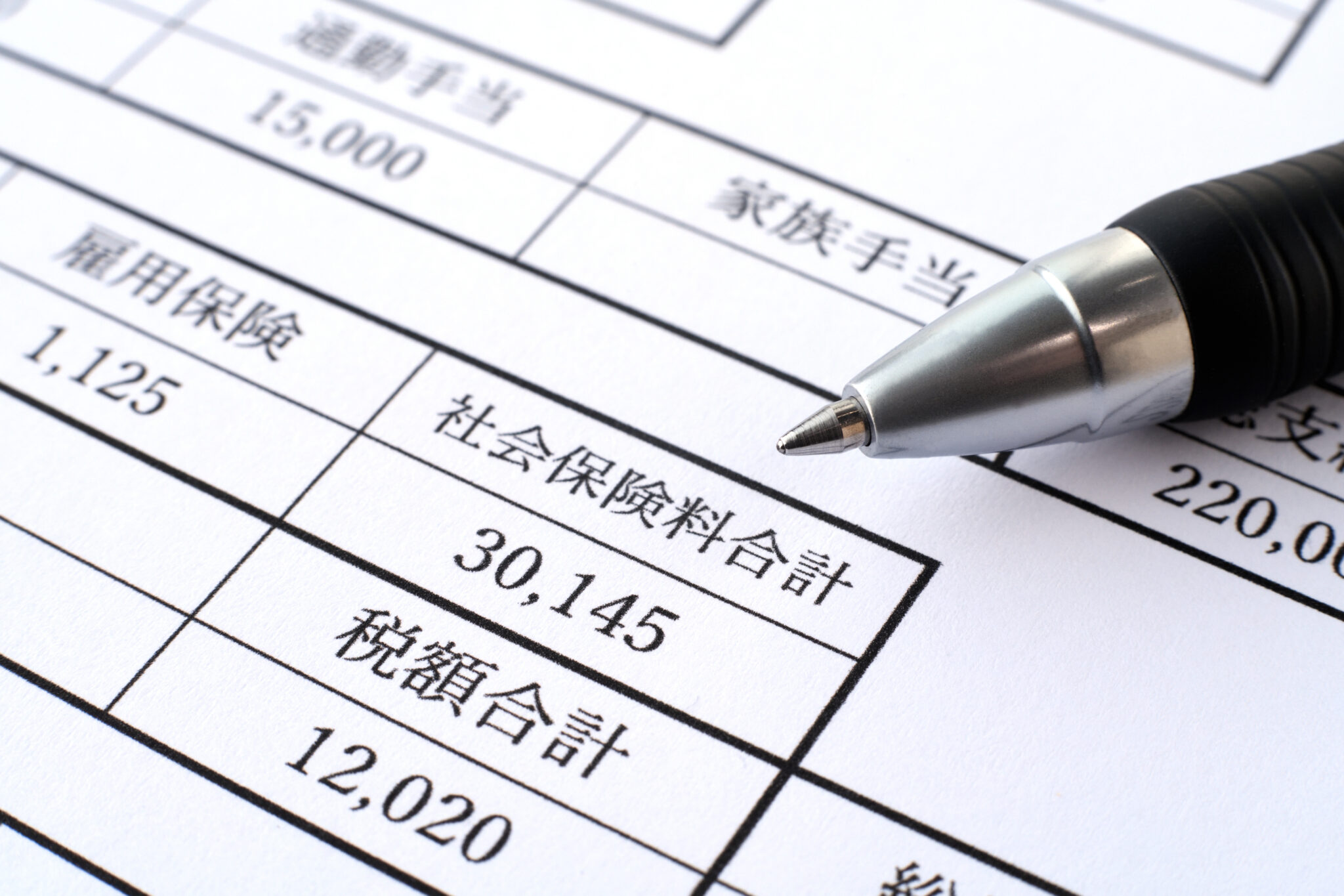 Decoding Japanese Payslip: How to Translate and Understand Your Salary ...